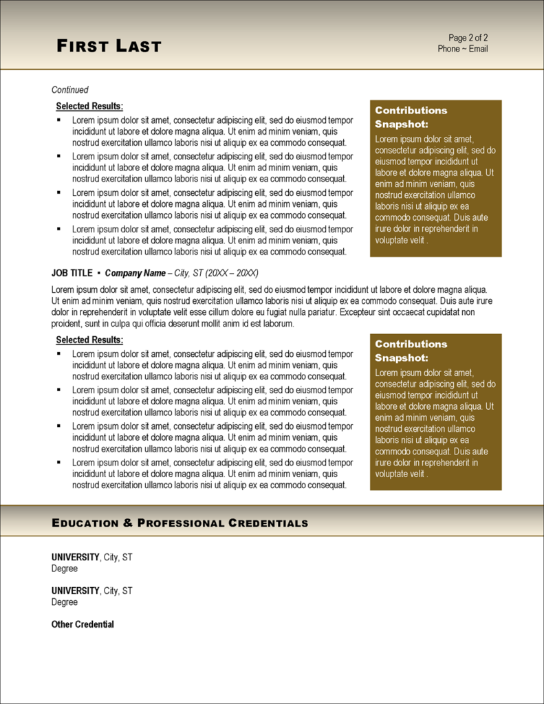 Custom-Designed Professional CV Template for MS Word