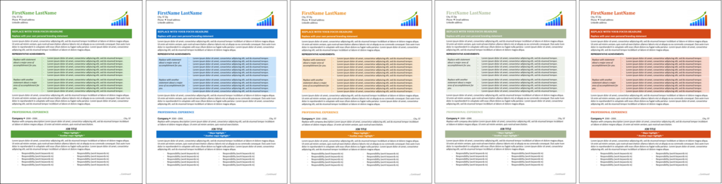 Combination Format Resume Template for Professionals & Executives