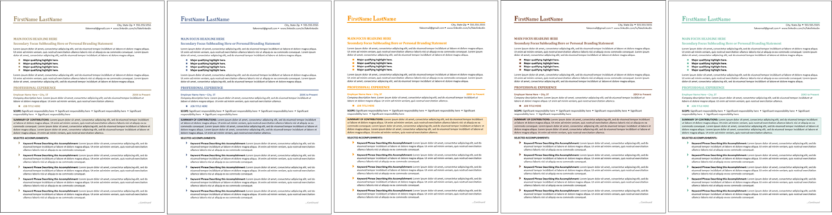 Conservative Resume Template for Executives & Professionals