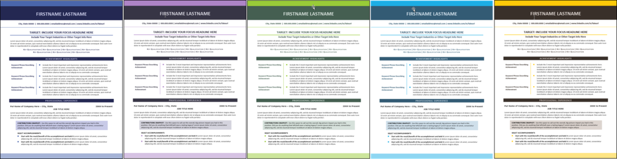 Excellent Resume Template for Professionals - Distinctive Resume Templates