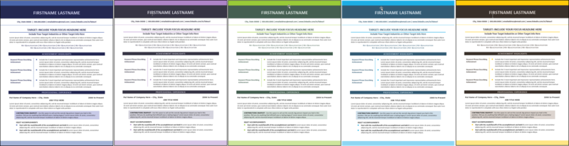 Excellent Resume Template for Professionals - Distinctive Resume Templates