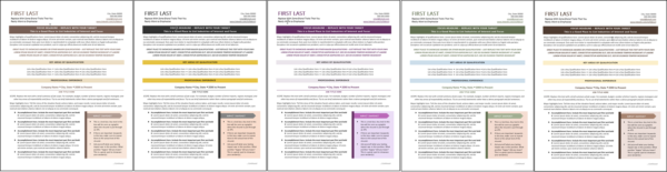 Modern Professional Resume Template - Distinctive Resume Templates