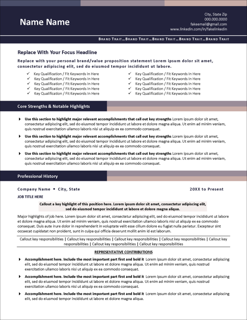 Premium Executive Resume Templates | Distinctive Templates