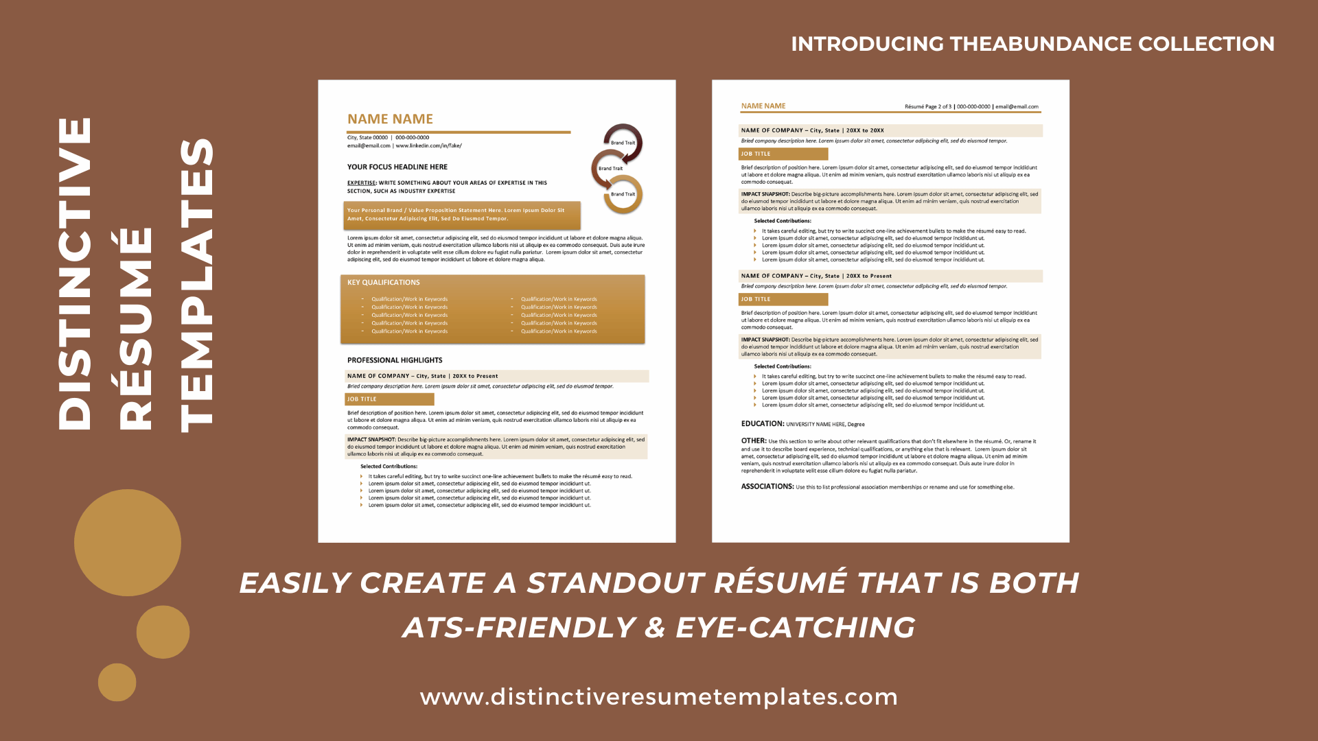 Sophisticated Resume Template for Executives - Distinctive Resume Templates
