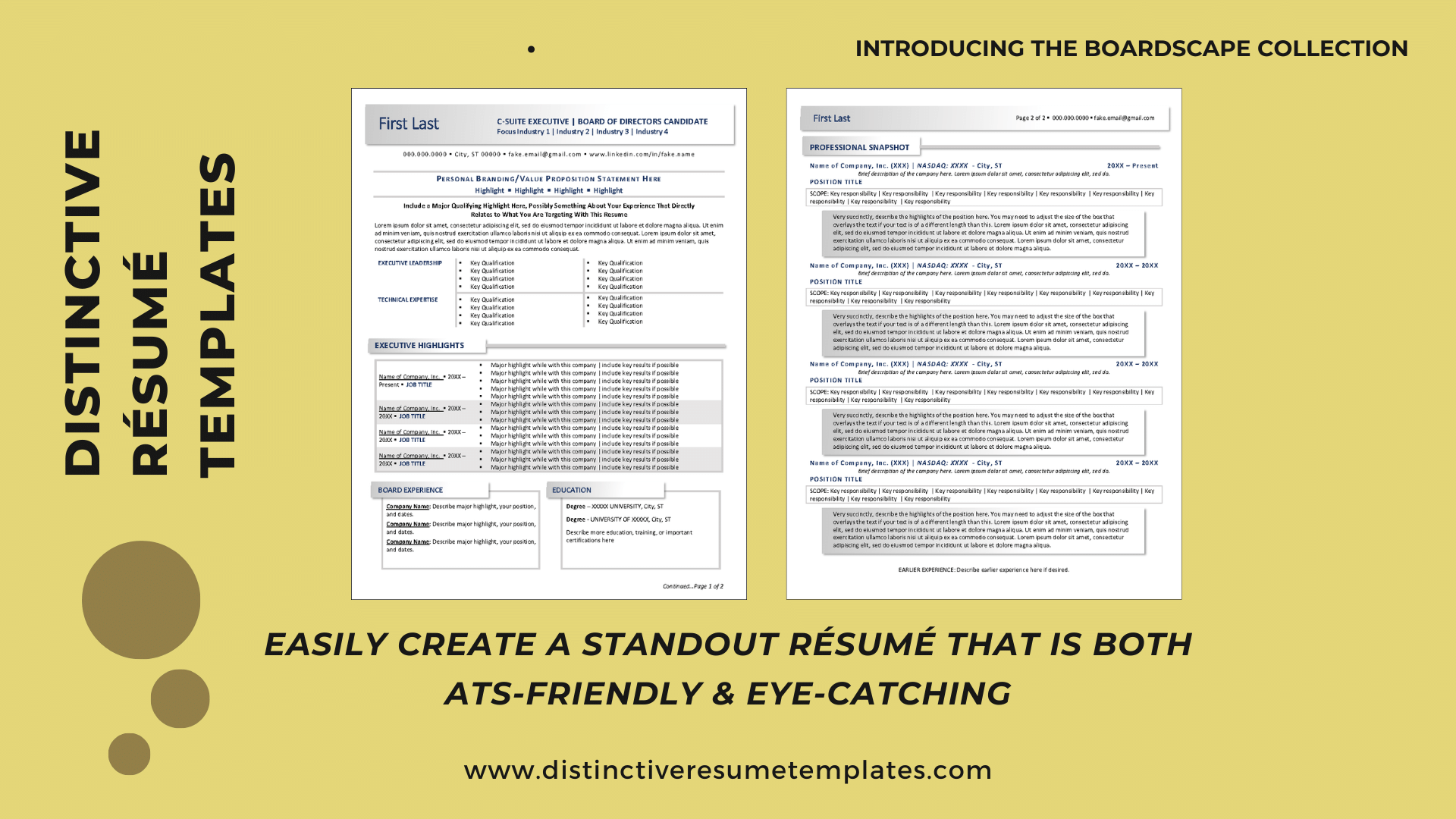 Best Board Resume Template for Executive Board Candidates