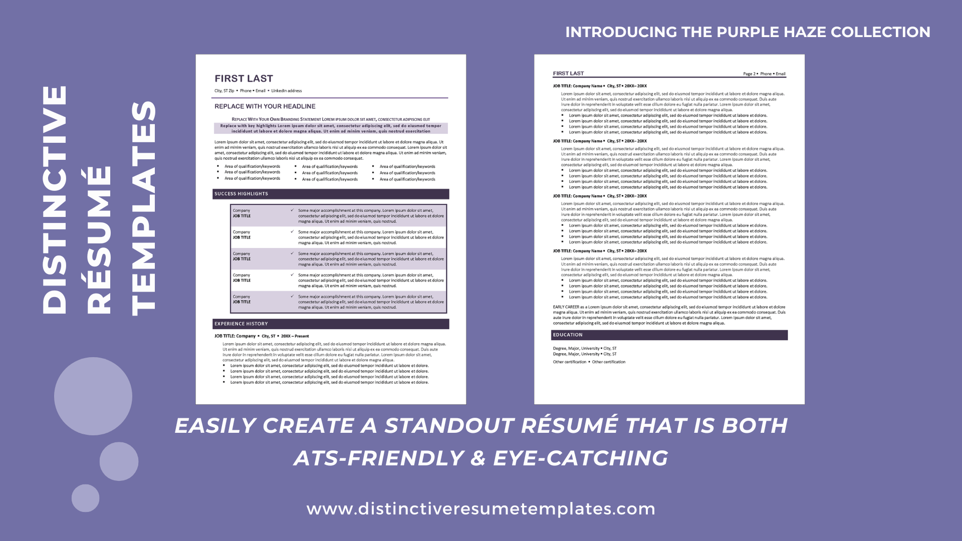 Resume Template for Experienced Candidates & Executives
