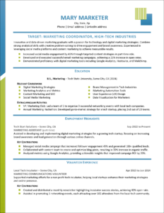 Entry-Level Resume Template | Custom-Designed for MS Word