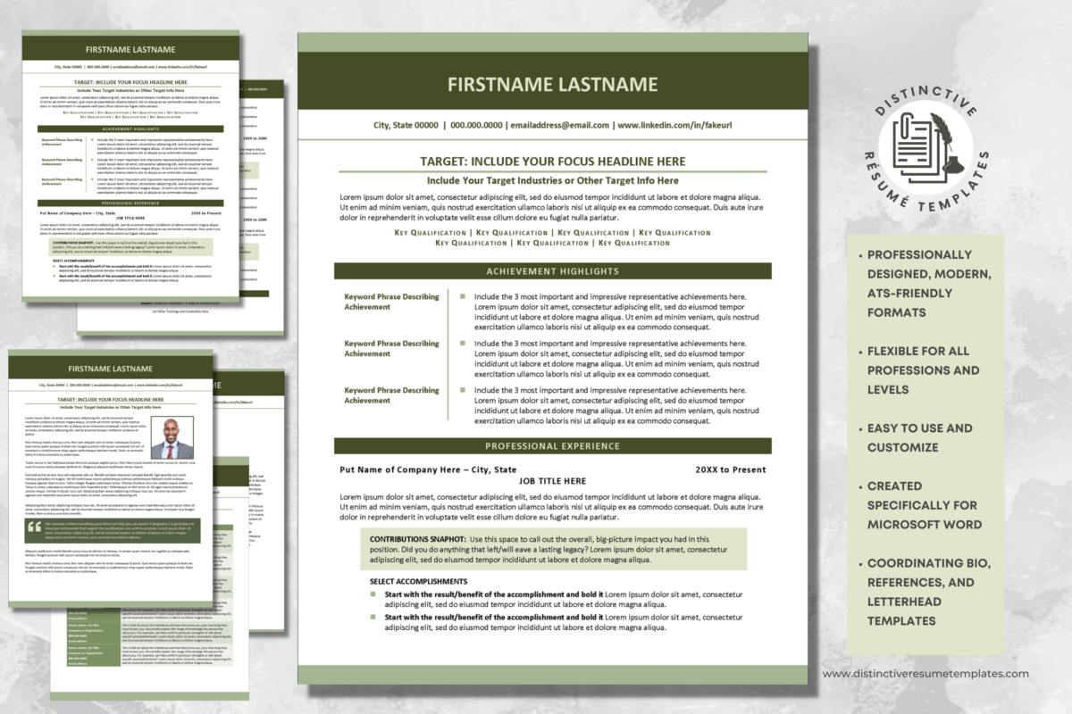 Excellent Resume Template for Professionals - Distinctive Resume Templates