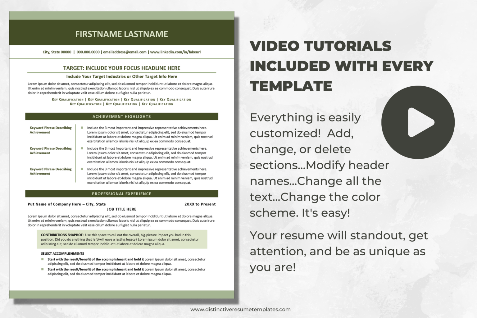 Excellent Resume Template for Professionals - Distinctive Resume Templates