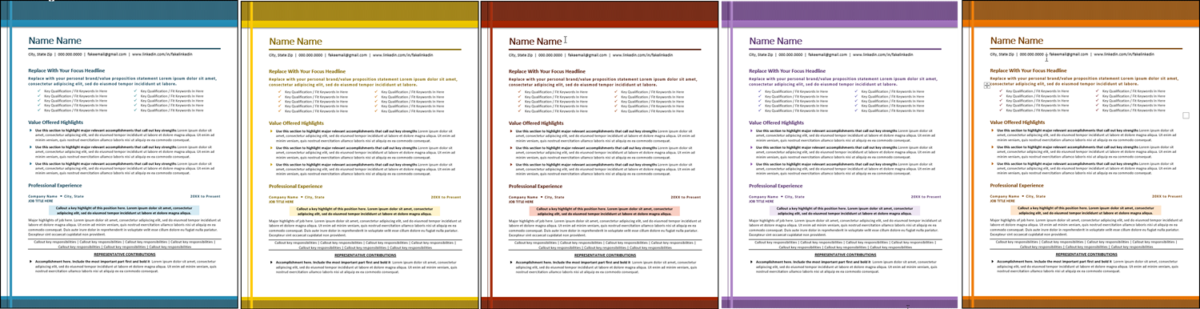 Adaptable Resume Template for Microsoft Word