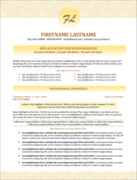 How To Use a Resume Addendum Template In Your Job Search
