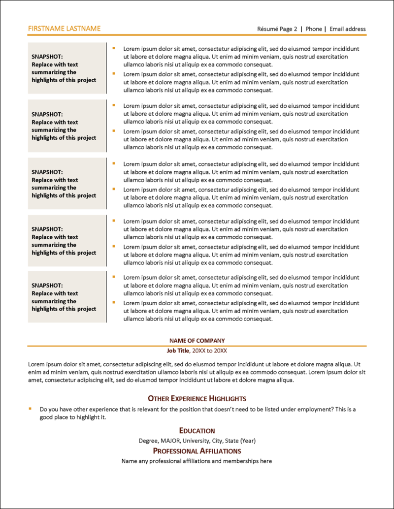 Instantly Downloadable Job Resume Template