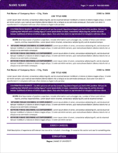 Traditionally Formatted Resume Template With an Updated, Elegant Look