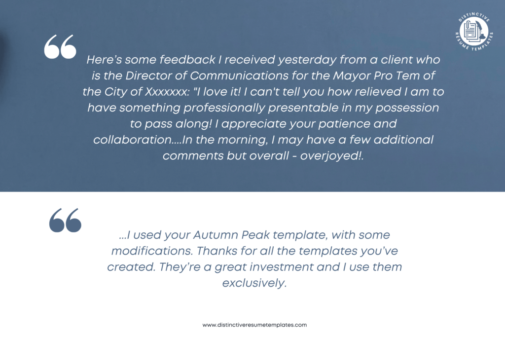 Attractive Resume Template for Experienced Professionals