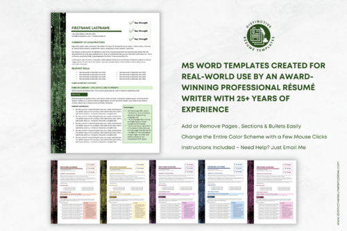 MS Word Resume Template for IT & Computer Professions