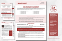 Versatile Resume Template for Professionals
