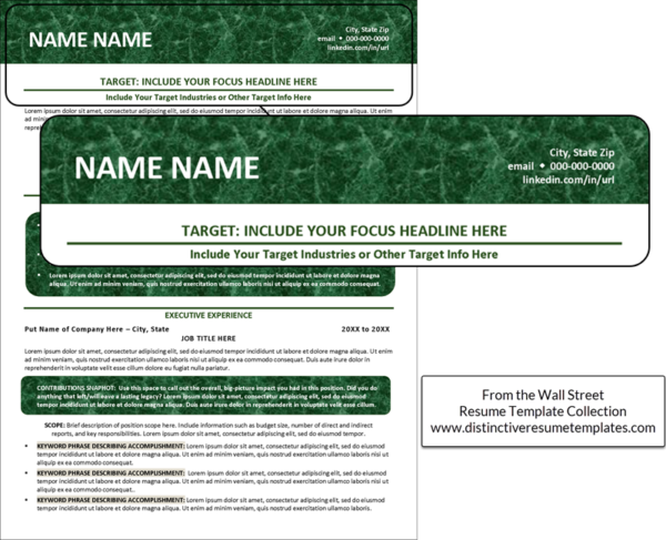 Creating Resume Headers: 20+ Example Headers, Templates & Video Tutorial