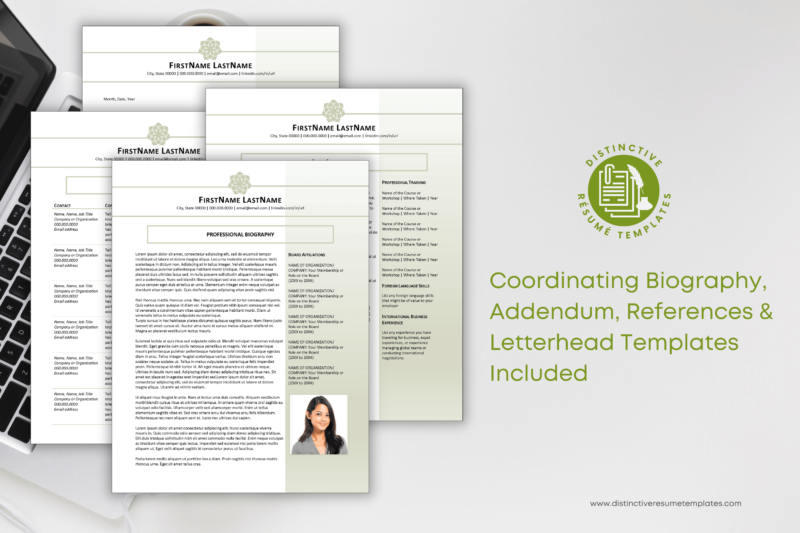 Combination Resume Template For Microsoft Word