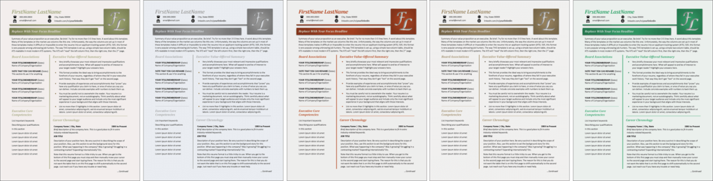 Powerful Resume Template for Senior Executives