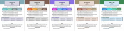 Downloadable C-Suite Resume Template for Microsoft Word