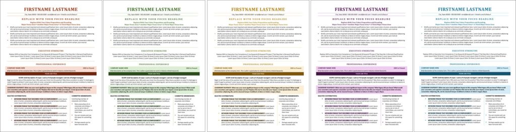 Traditional Executive Resume for Microsoft Word | Distinctive Templates