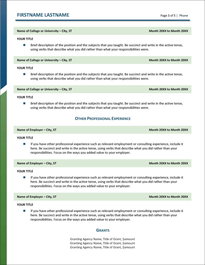 Custom-Designed Professional CV Template for MS Word