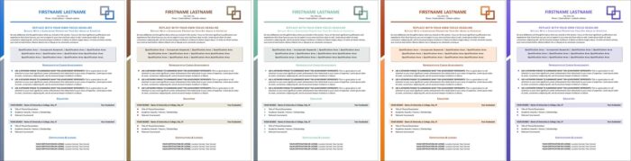 Custom-Designed Professional CV Template for MS Word