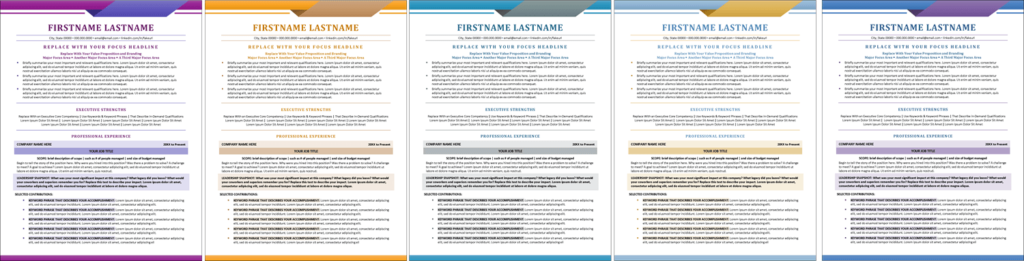 Business Executive Resume Template for MS Word - Distinctive Resume ...