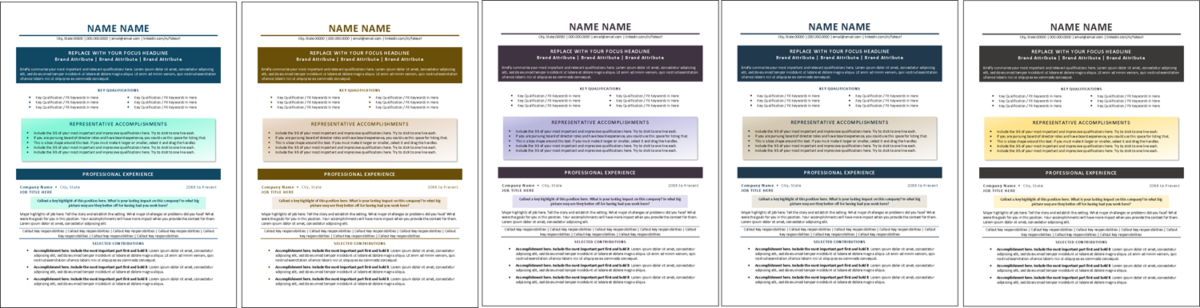 Flexible Executive Resume Template for Microsoft Word