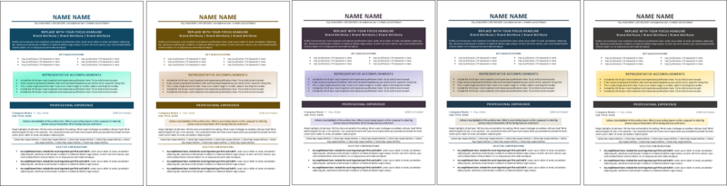 Flexible Executive Resume Template for Microsoft Word