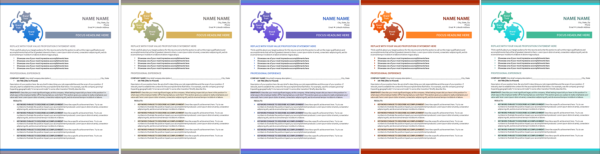 MS Word Template for a Versatile Resume Format