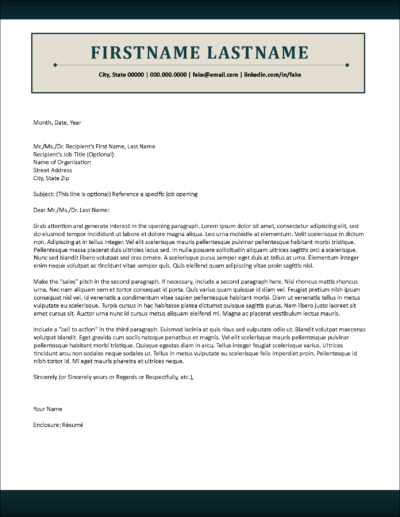 Editable Professional Resume Template for MS Word