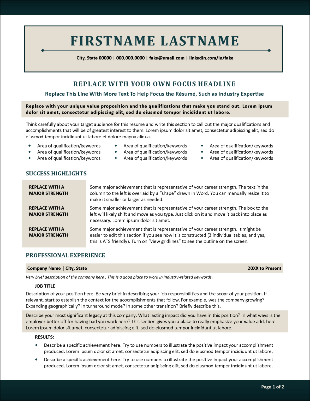 Editable Professional Resume Template for MS Word