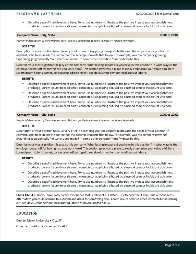 Editable Professional Resume Template for MS Word
