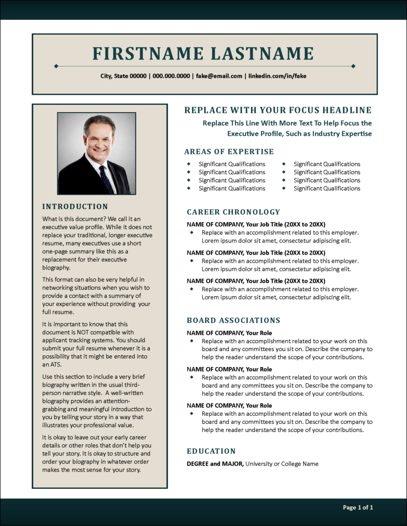 Editable Professional Resume Template for MS Word