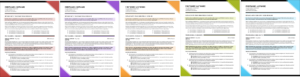 Dynamic Resume Format for Professionals | Distinctive Templates
