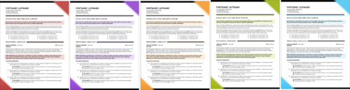 Dynamic Resume Format for Professionals | Distinctive Templates