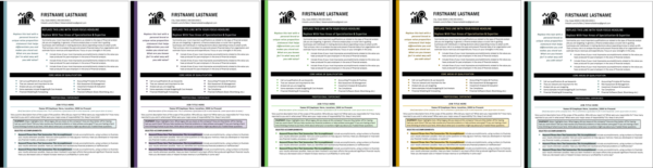 Premier Finance Analyst Resume | Distinctive Templates