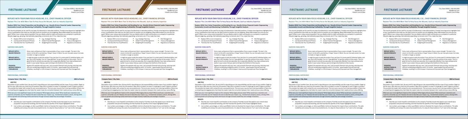 Professional Executive Resume Template | Distinctive Templates