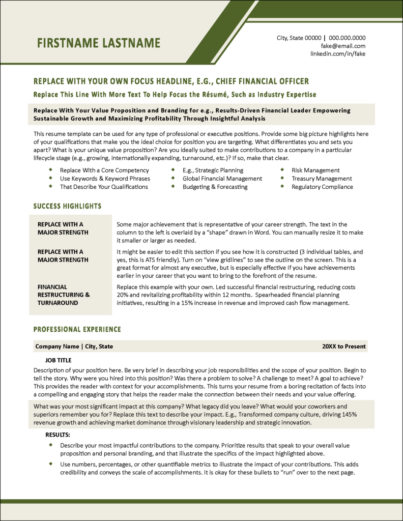 Executive Resume Writing Toolkit - Distinctive Resume Templates