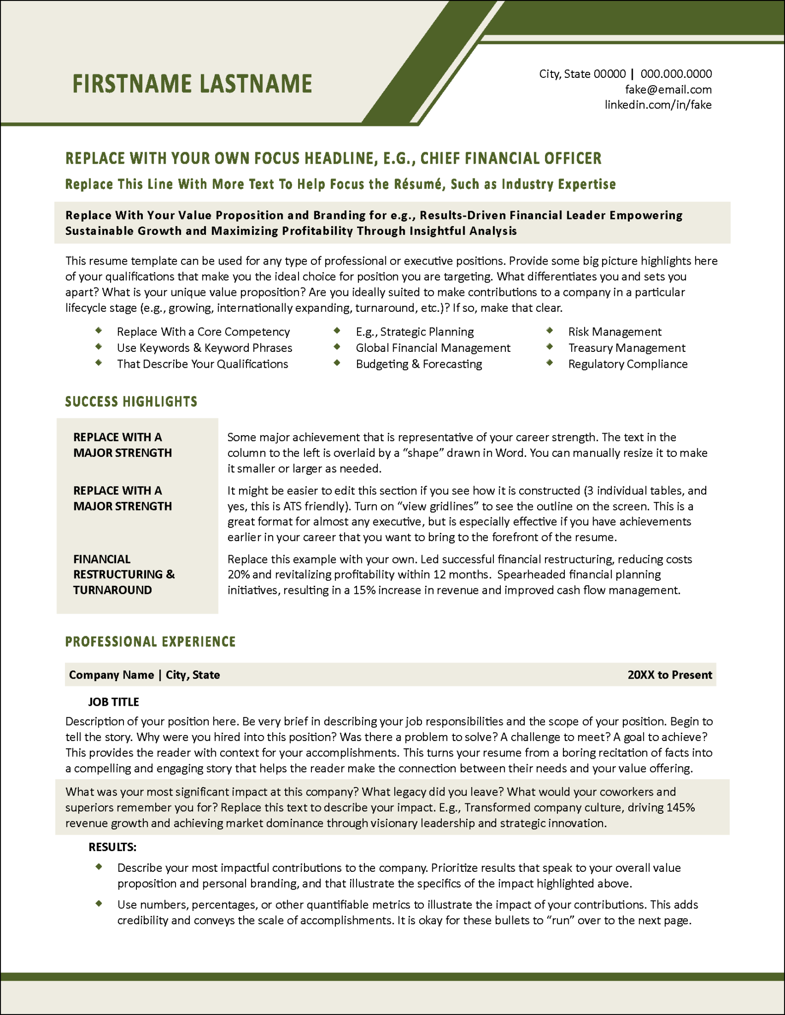 Professional Executive Resume Template | Distinctive Templates