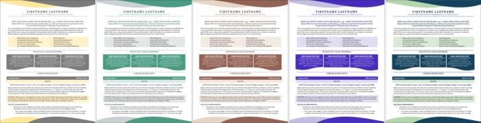 Eye-Catching & Stylish Executive Resume Template | Distinctive Templates