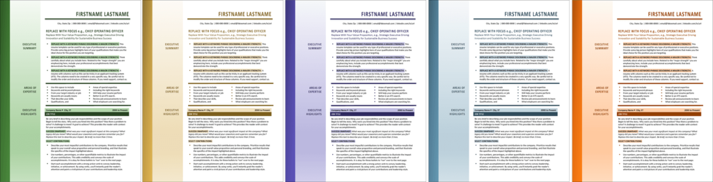 Standout Executive Resume Template | Distinctive Template Standout Executive Resume Template | Distinctive Template