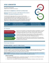 Professional Format Resume Template | Distinctive Templates