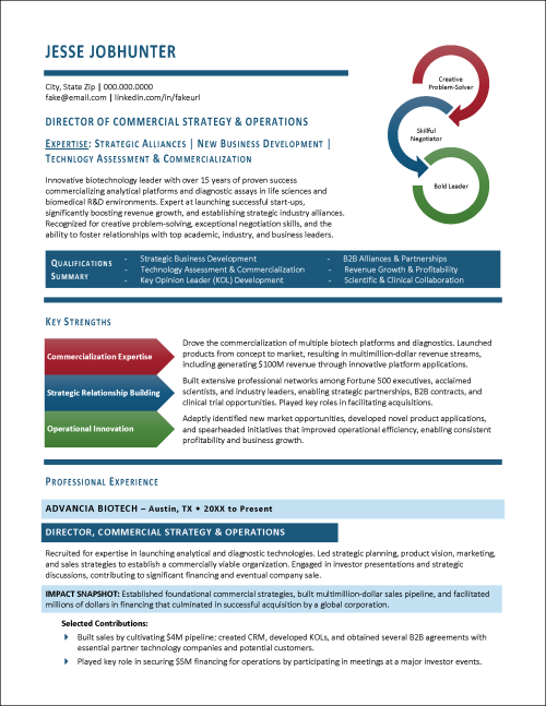 Professional Format Resume Template | Distinctive Templates