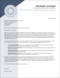 Technical Resume Template for Government Transition | Distinctive Templates