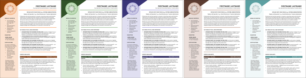 Technical Resume Template for Government Transition | Distinctive Templates