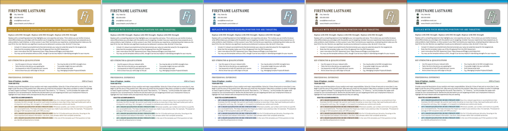 DISC Assessment Resume Template for MS Word | Distinctive Templates