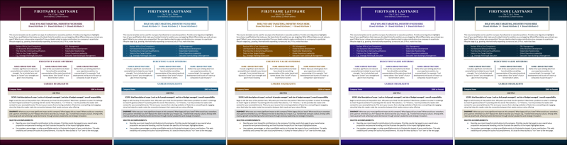 Premium Executive Resume Template for MS Word | Distinctive Templates